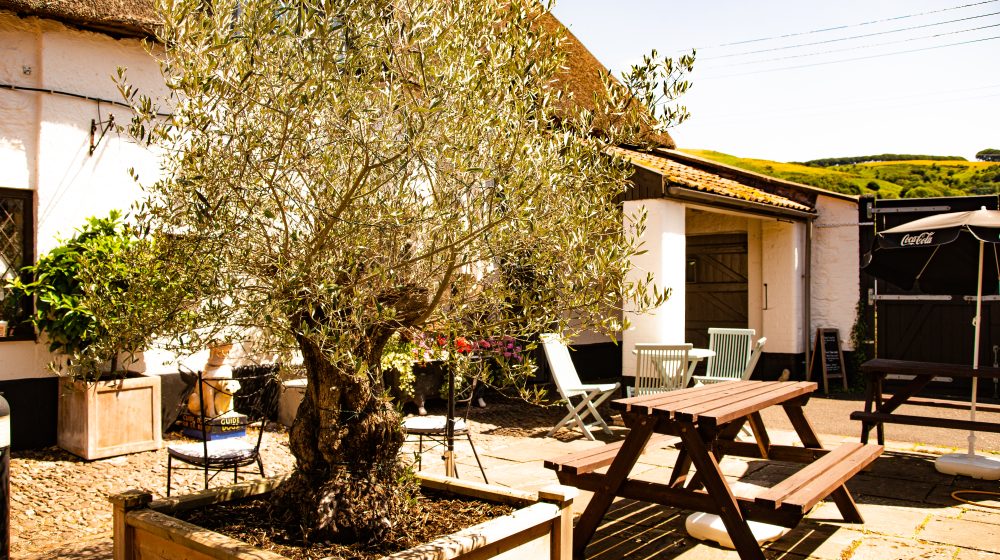 Bicknoller Inn | Pubs in Somerset | Palmers Brewery