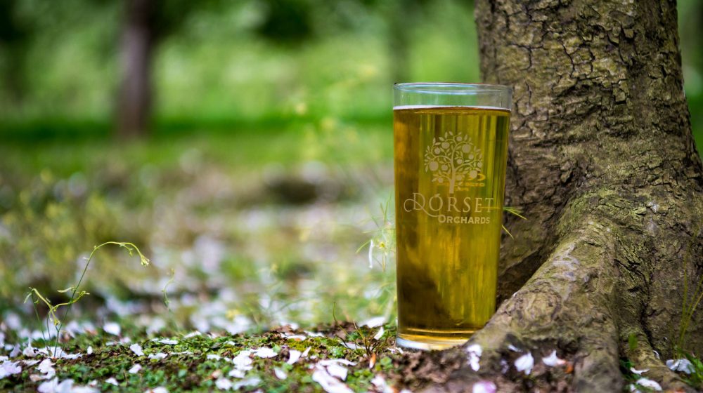 Cider | Dorset Orchards Ciders | Palmers Brewery Bridport
